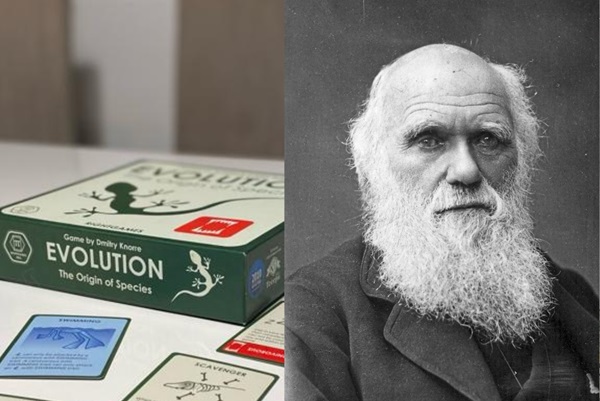 Mathespiele für Kinder und die ganze Familie. Das Brettspiel 'Evolution ... Mathespiele für Kinder und die ganze Familie. Das Brettspiel 'Evolution ...